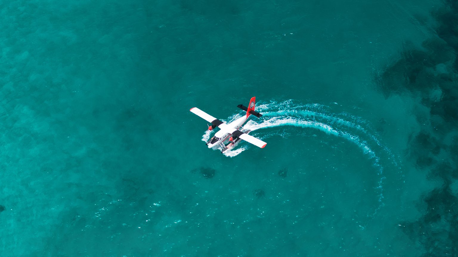 How To Check-In With Trans Maldivian Airways At Velana International ...
